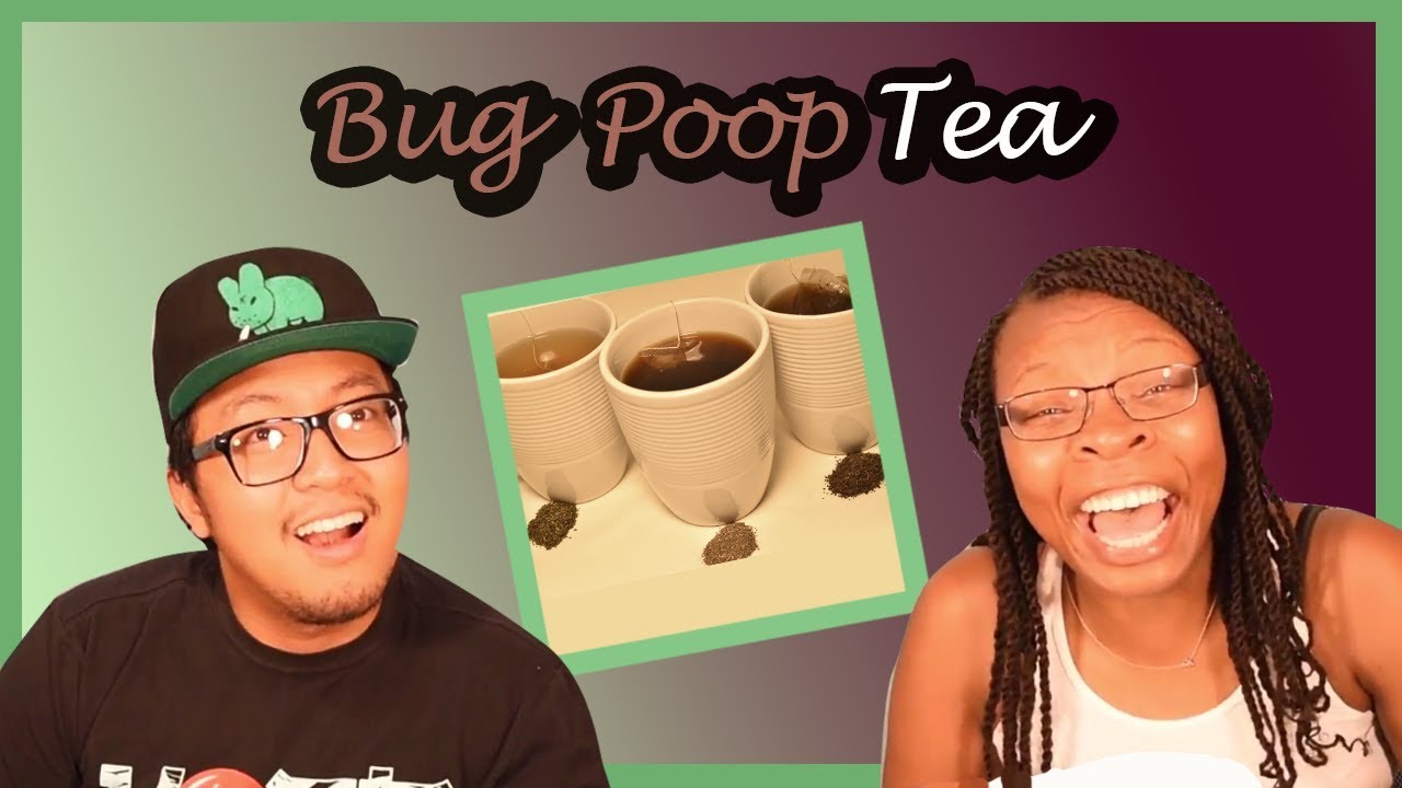Guess That Food - Bug Poop Tea - YouTube