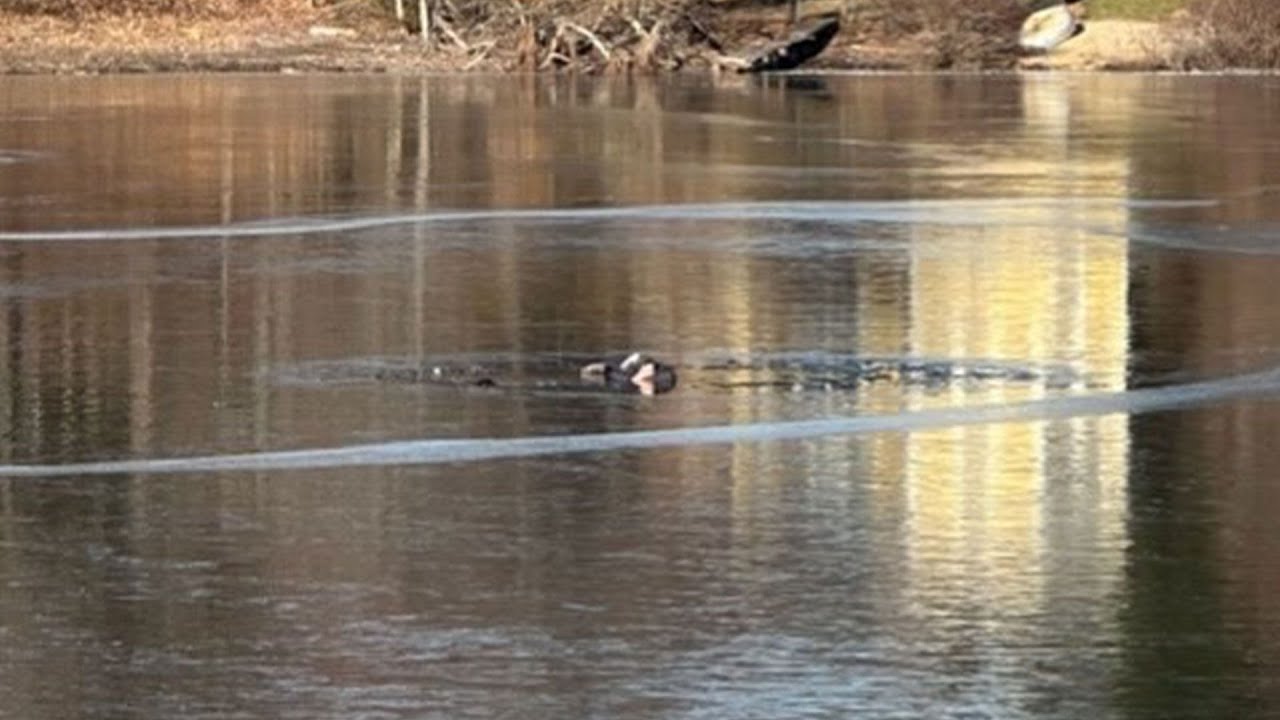 Man rescued after falling through ice while skating on pond - YouTube
