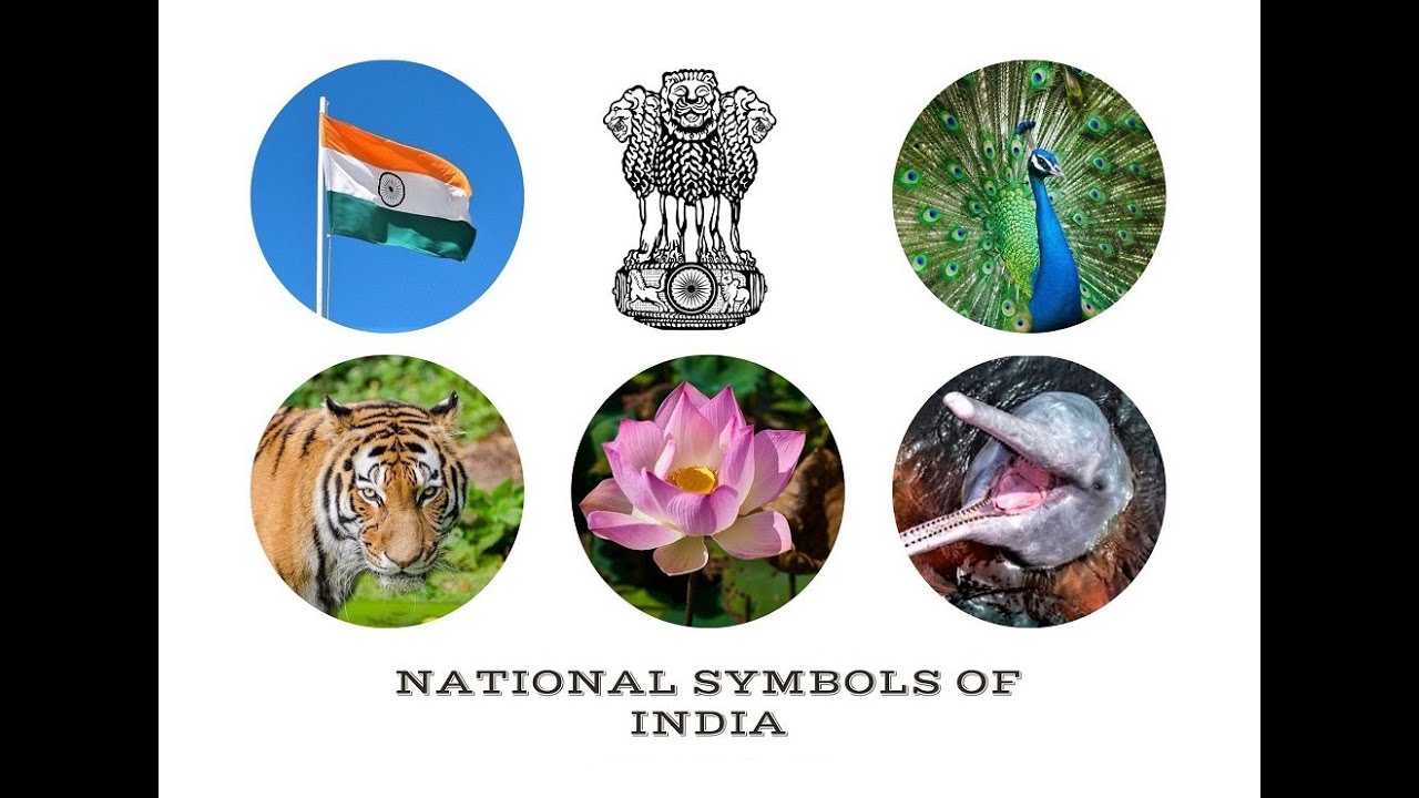 Learn National Symbols of India/ Nakshatra & Deeksha - YouTube
