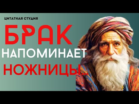 Как же Точно Сказано! Цитаты о Семейной жизни, Правдивые слова до Слез