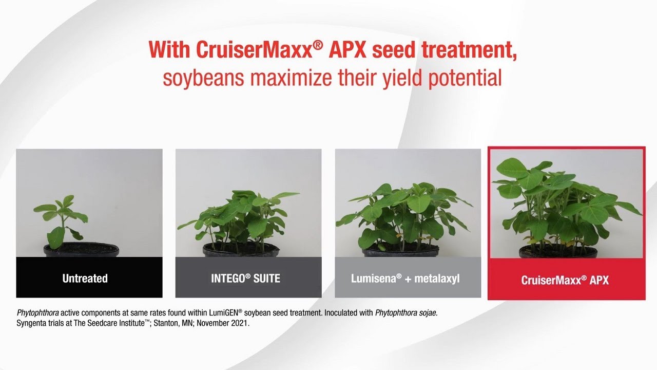 Maximize Your Yield Potential with CruiserMaxx APX - YouTube