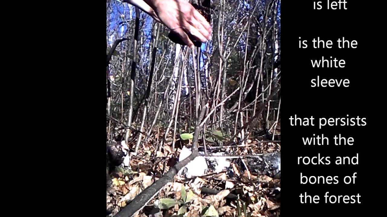 Love Poem to a Simple and Reliable Incendiary - YouTube