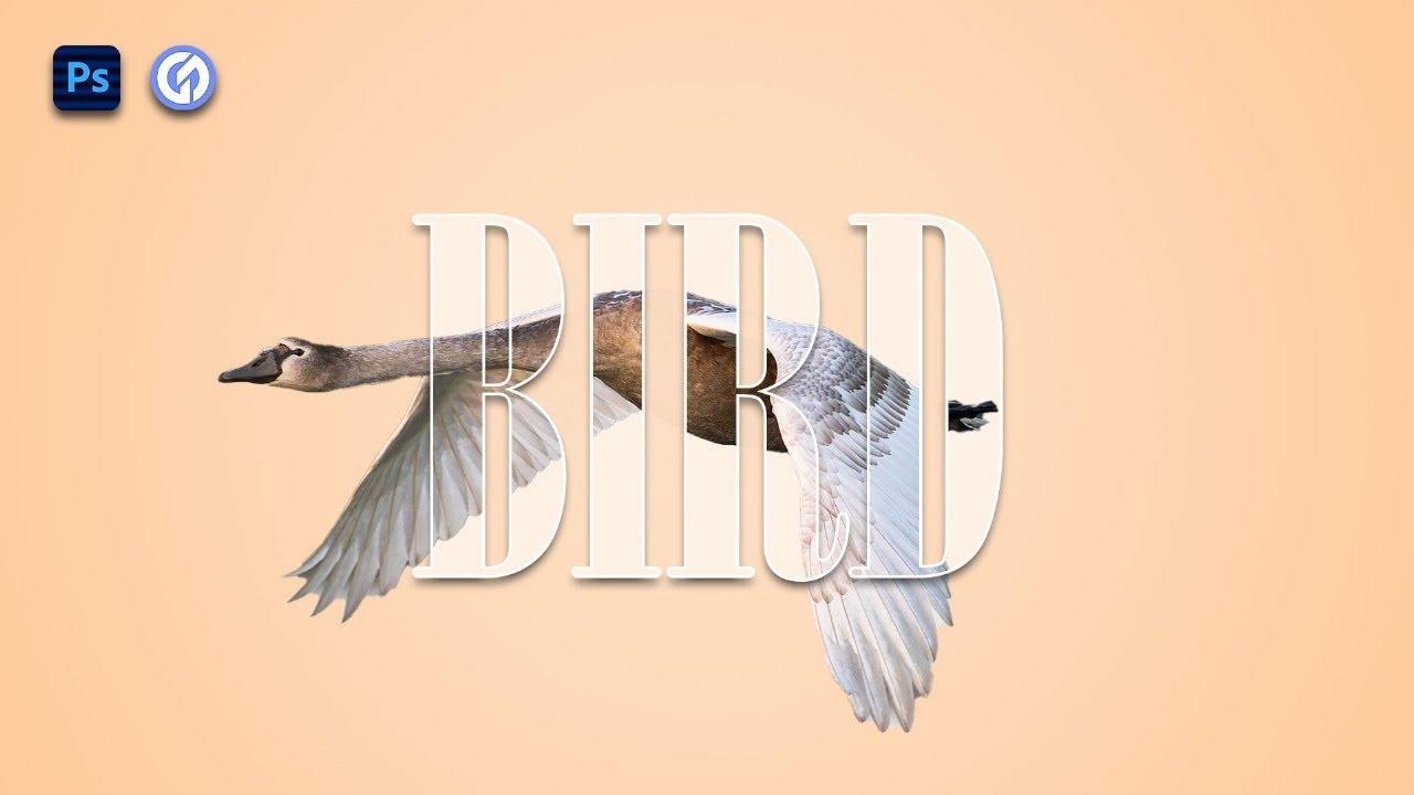 How to Design Bird Portrait in Photoshop - YouTube