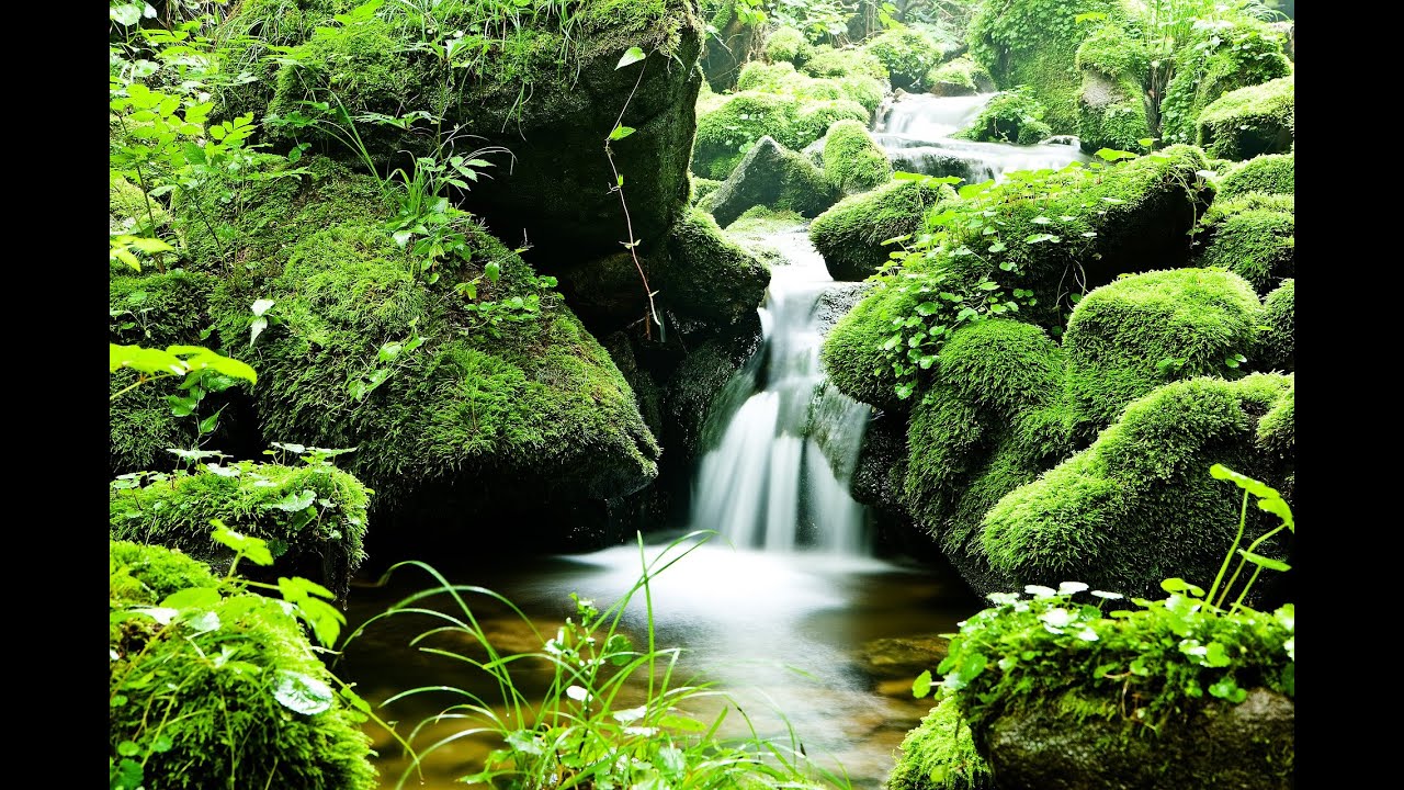 Good Morning, Beautiful:A Relaxing Playlist to Start Your Day"Relaxing ...
