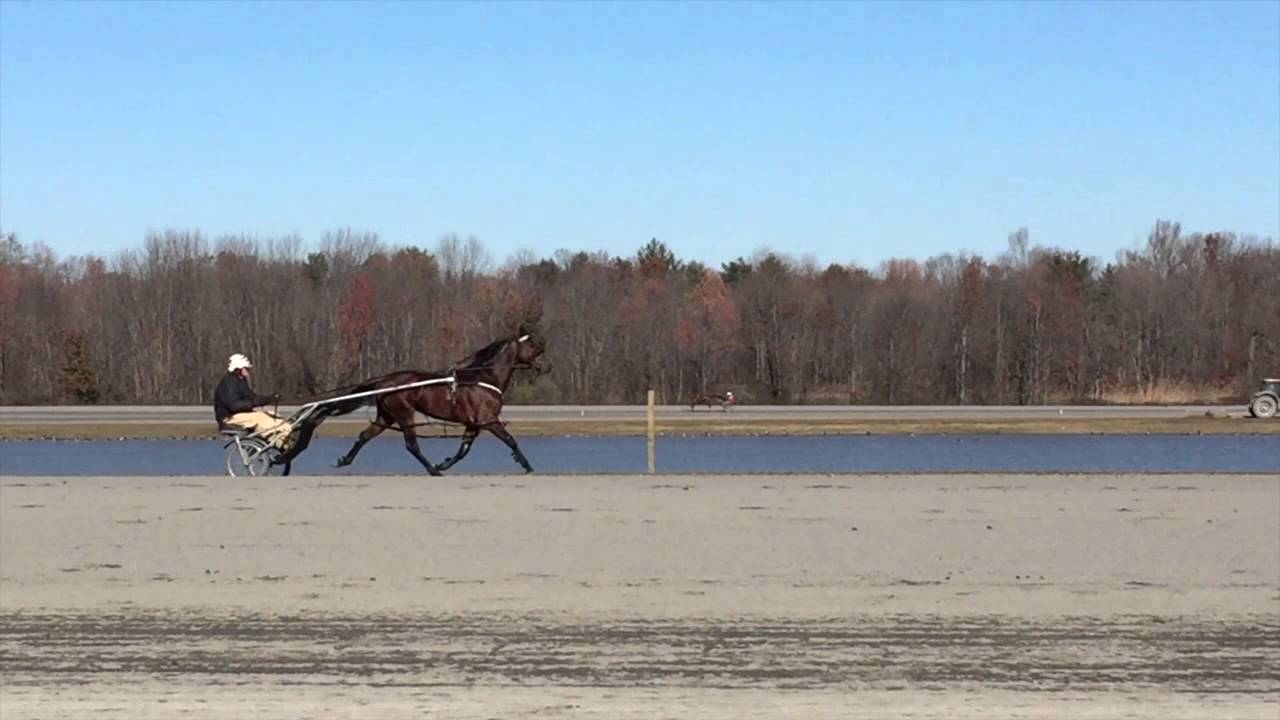 In The Arsenal/Beach Story- BC 2014 Preview - YouTube