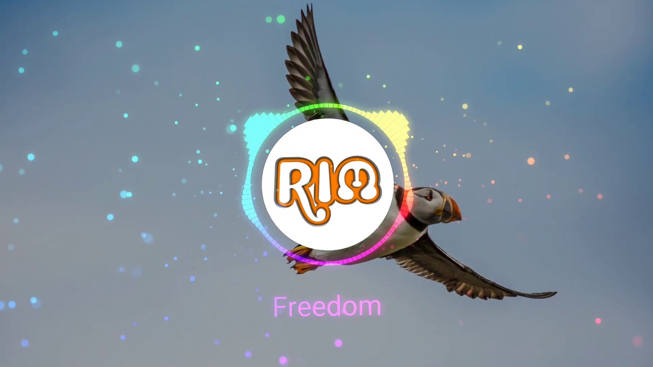 Freedom - Roa | No Copyright Free Happy tropical house background Music ...