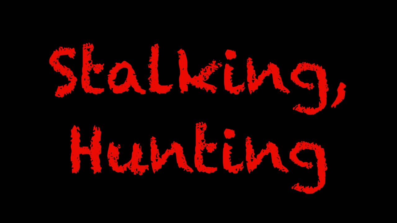 Cat Busters - YouTube