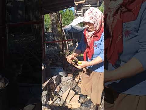 Can Dostlar İçin Kazan Kaynıyor! #Shorts #CanDostlar