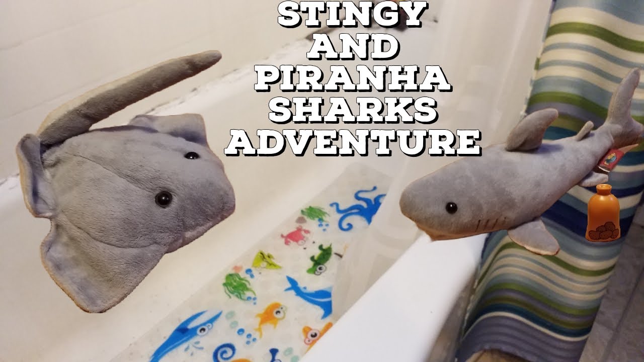 Stingy&Piranha sharks ADVENTURE - YouTube