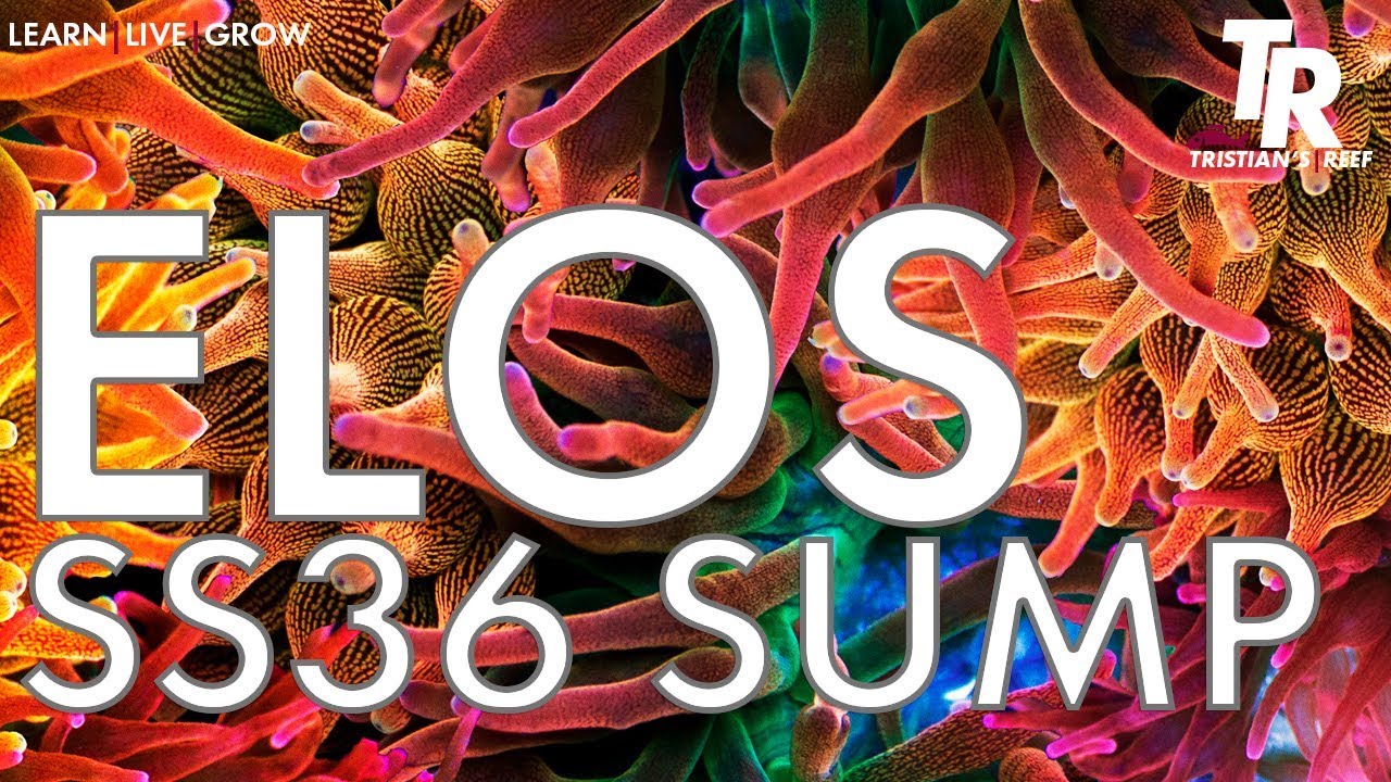 Tristian's Reef: Lagoon Build ELOS SUMP SS36 by Bashsea # ...
