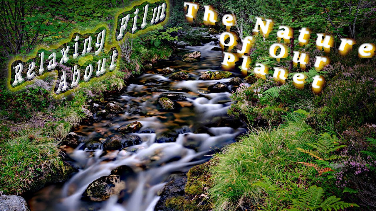 Relaxing Film About The Nature Of Our Planet Mesmerizing Nature Film ...