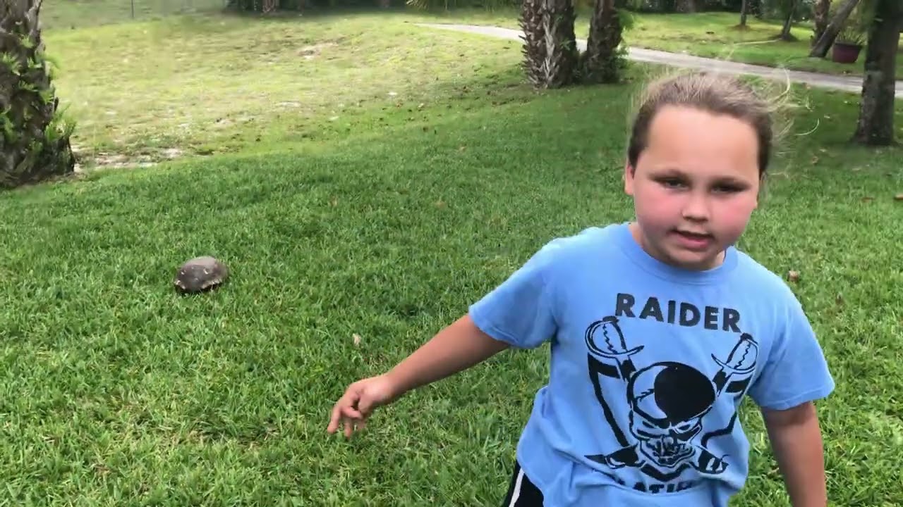 Gopher Turtle Laying Eggs - YouTube