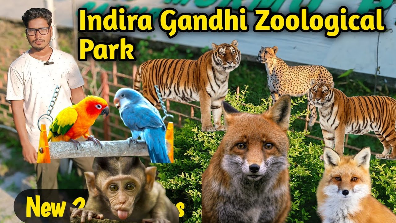 Exploring Vizag Zoo Park || Visakhapatnam ZooPark || Indra Gandhi ...