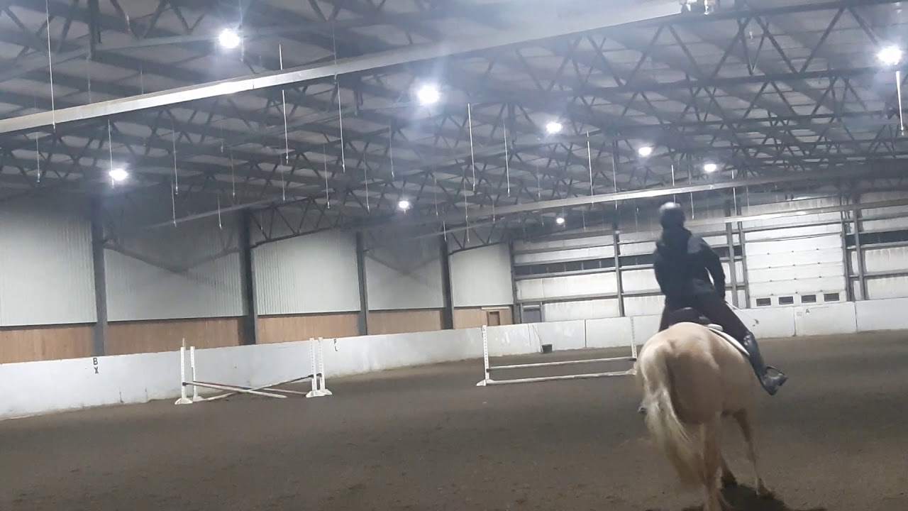 Small Jump School || XRail Oxer - YouTube