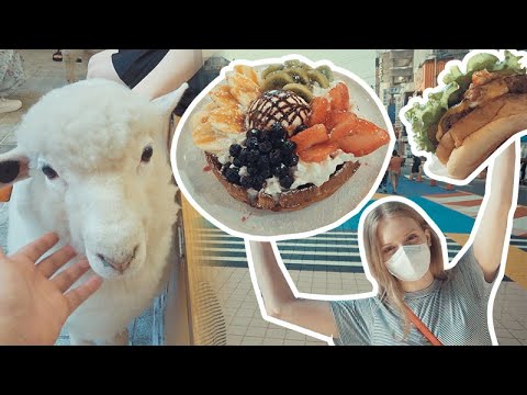 [VLOG] Sheep cafe and hawaiian burger in Seoul (International couple ...
