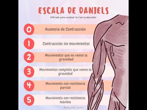 ESCALA DE DANIELS - YouTube