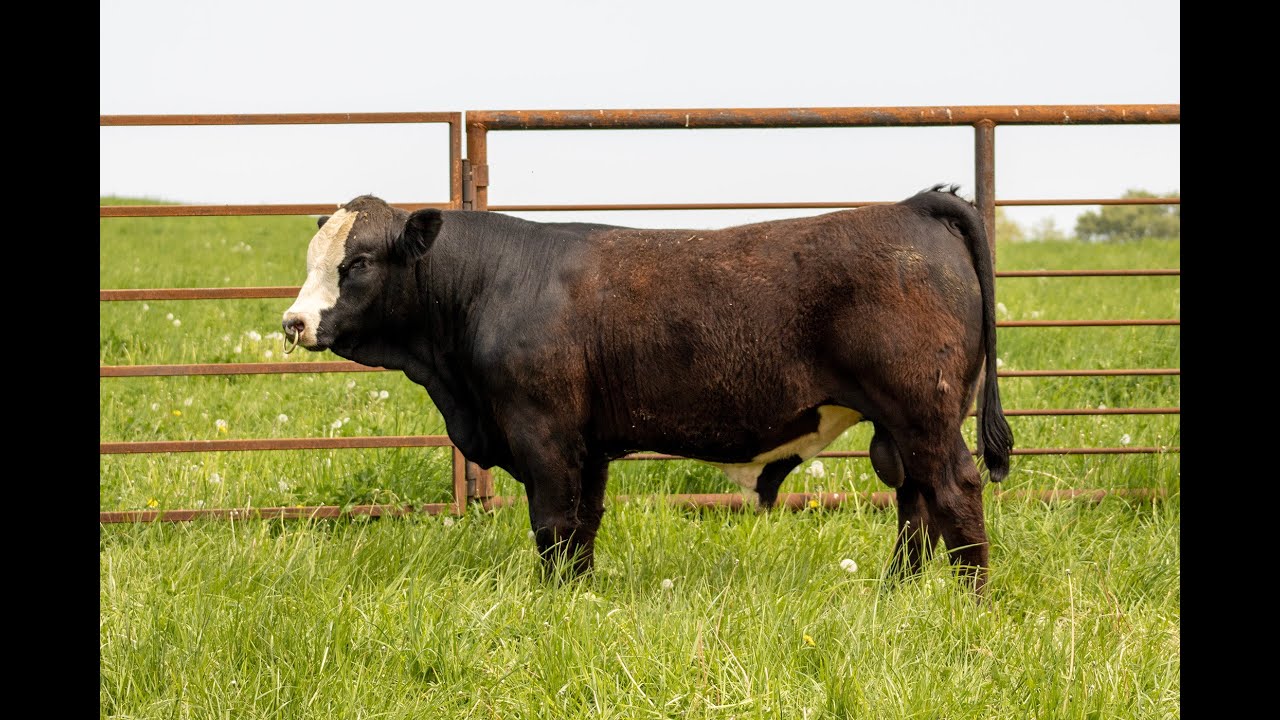 DJM Turbo K221 - YouTube