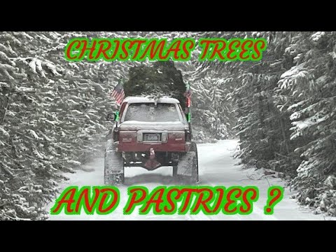 christmaz tree run - YouTube