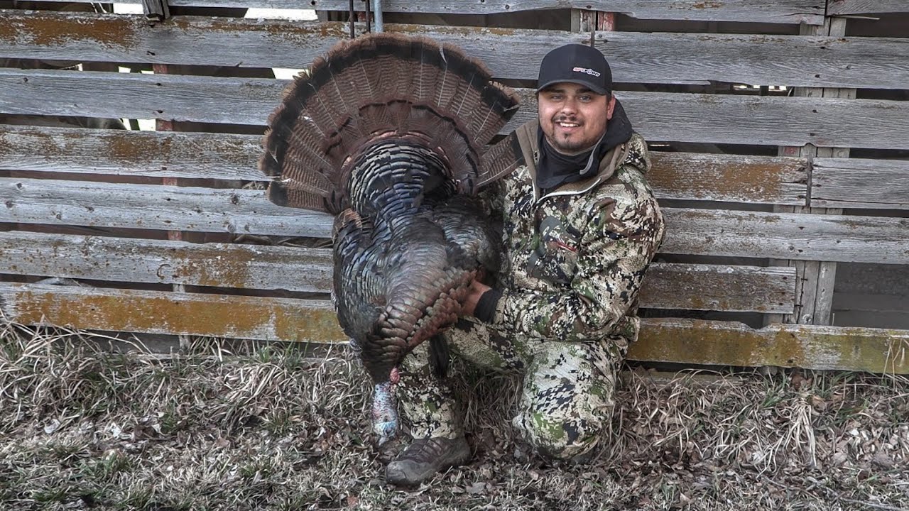 Bow hunting Iowa Turkeys - YouTube