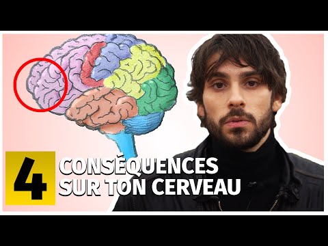 Comment le Porno atrophie ton cerveau