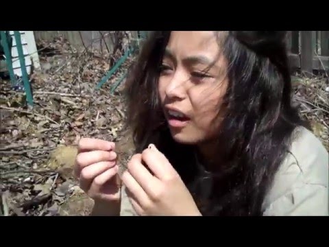 Prebendalism Project by Ashley Govig & Andrea Reyes - YouTube