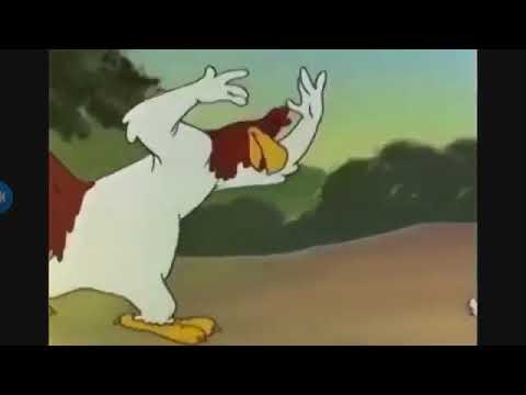 matemáticas hijo gallo claudio - YouTube