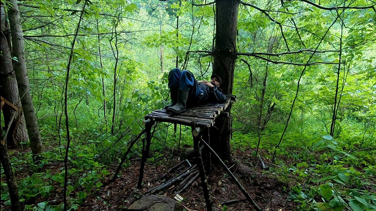 Building a single tree elevated camping platform! - YouTube