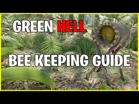 How To Get A Queen Bee In Green Hell