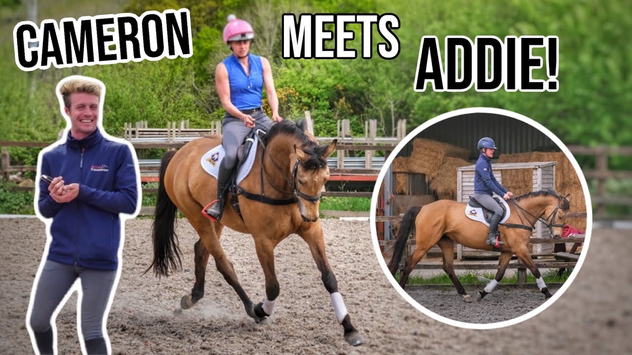 CAMERON MEETS ADDIE | Finally got to have a lesson again since SUKO ...