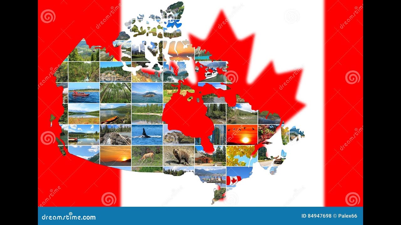 Maple Symphony: Discover the Top 10 Compelling Reasons to Migrate to ...