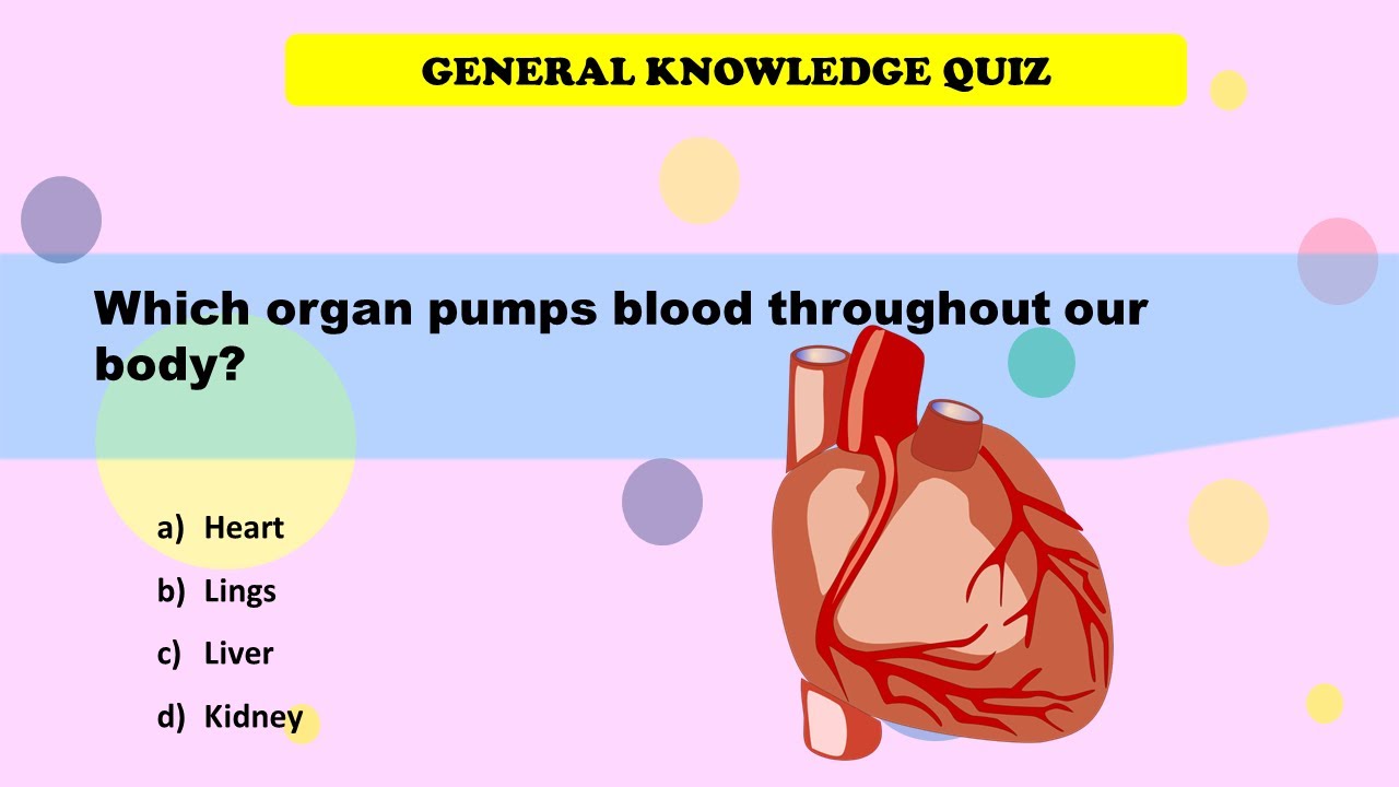 How Good is Your General Knowledge? | GK Questions for Kids | Nursery ...