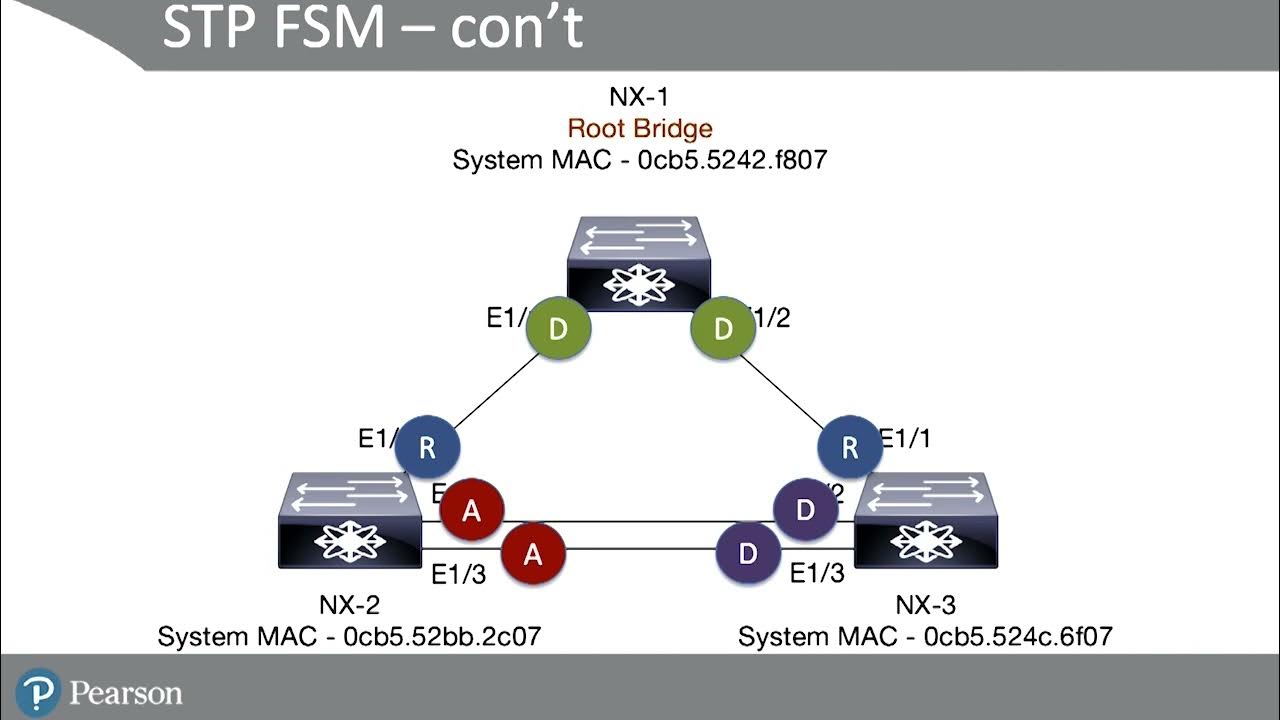 033 5 1 Overview of Spanning Tree Protocol STP - YouTube