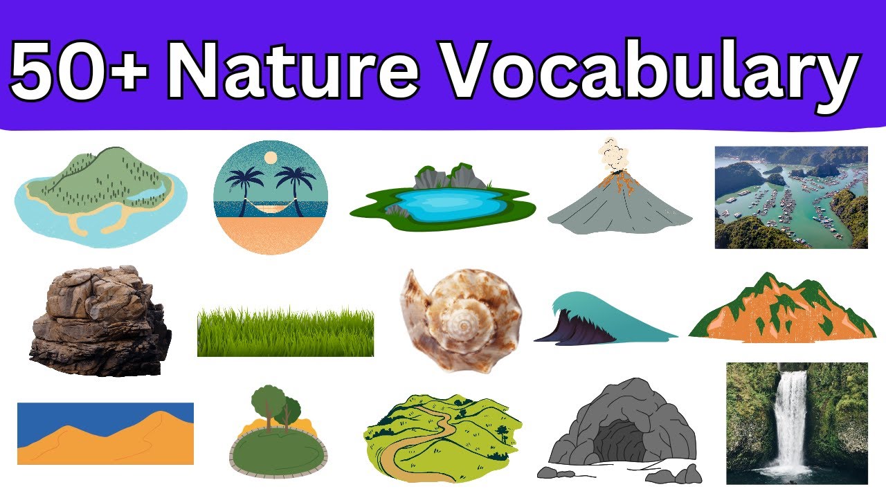 Nature Vocabulary : Useful Nature Vocabulary in English | Common ...