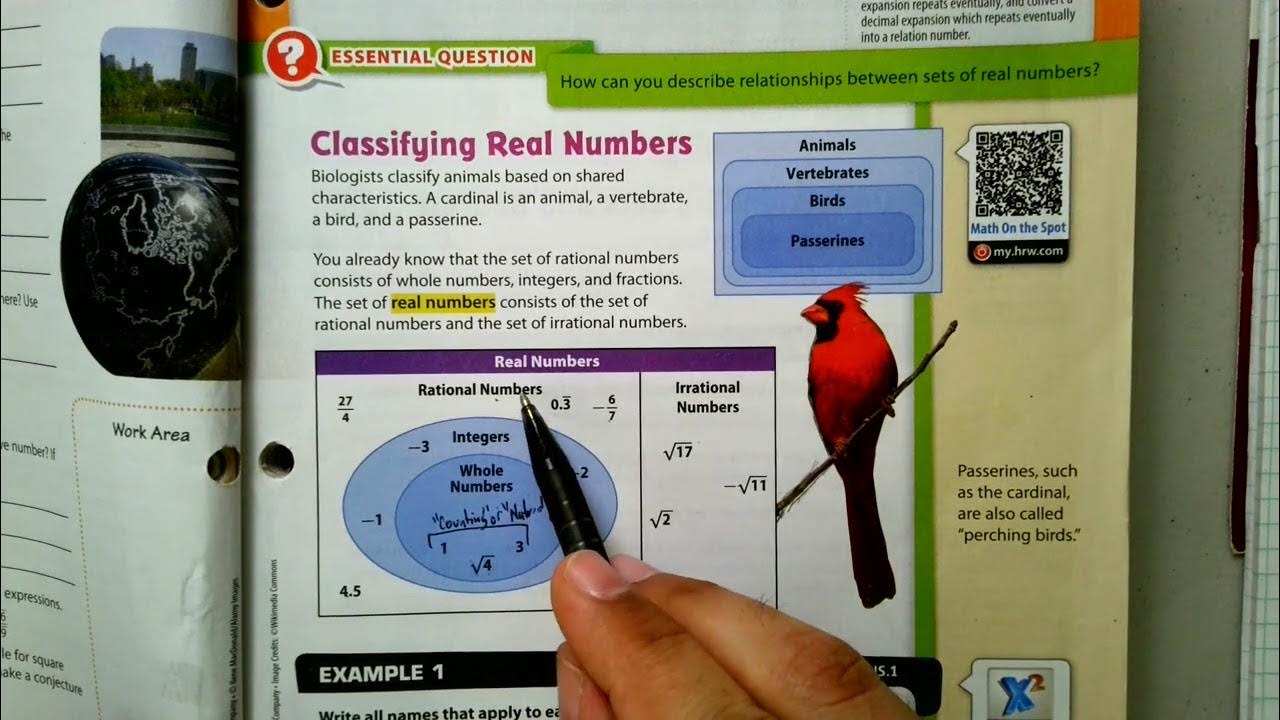 Lesson 1.2 Sets of Real Numbers (CCSS 8.NS.1) - YouTube