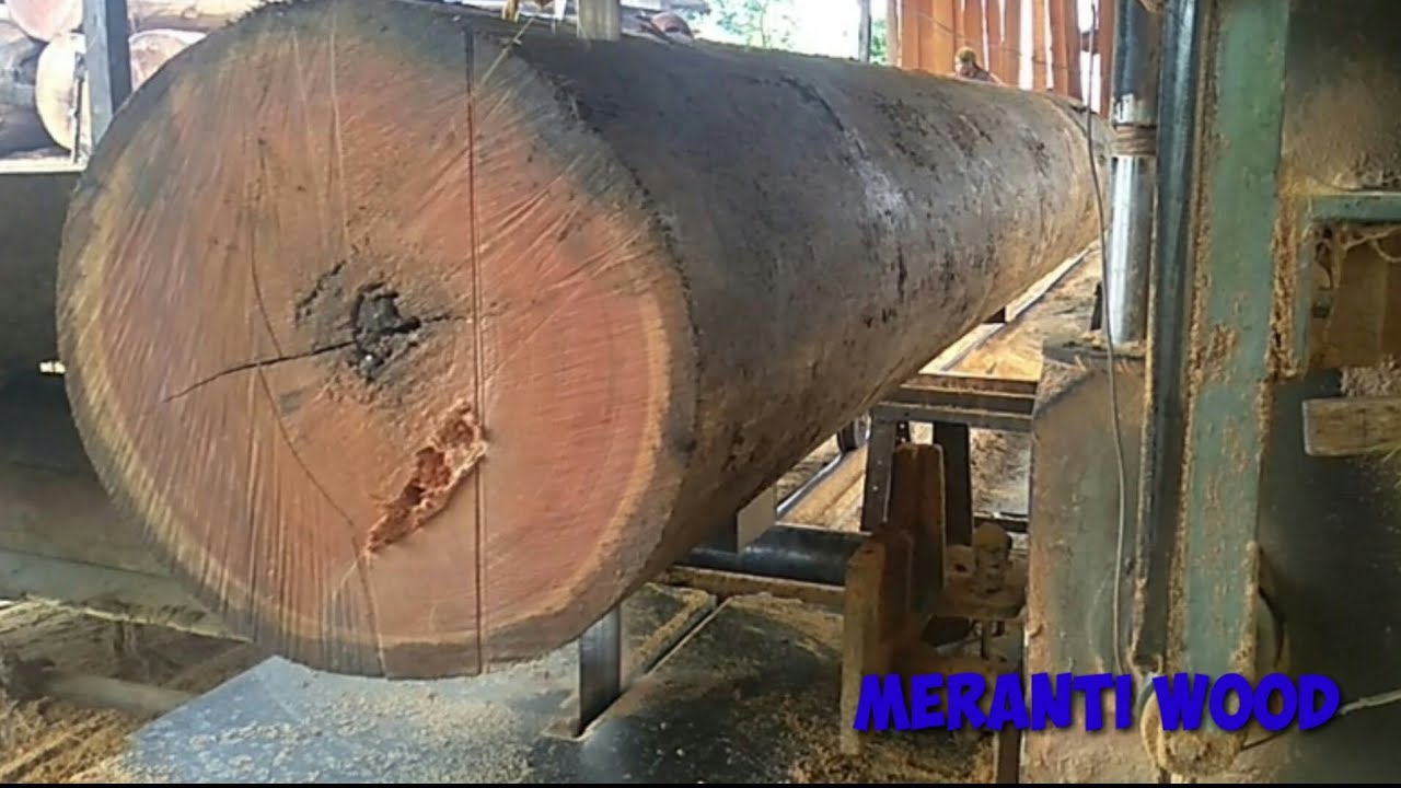 wujud cantik kayu meranti putih di gergaji di sawmill kayu bagian 01 ...