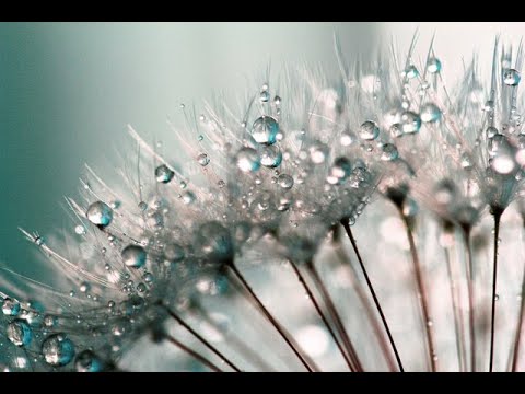 Eric Daub, Piano. "Yesterday" - YouTube