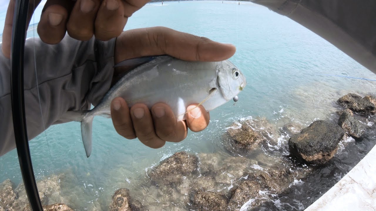 Fishing Lesson#1: How to Fight Fish - YouTube