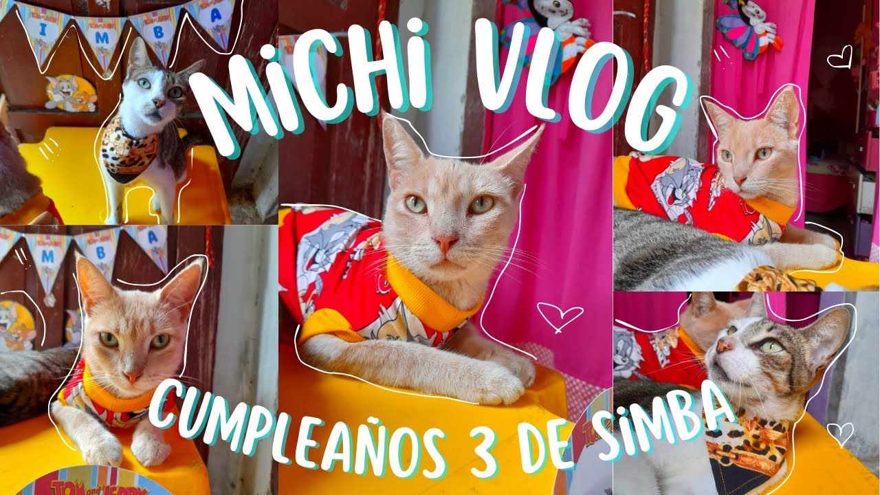 MICHI VLOG CUMPLEAÑOS #3 DE SIMBA🥳/ACHU LOVER - YouTube