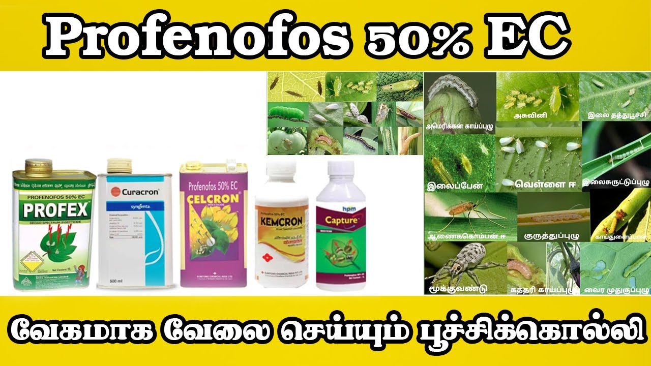 Profenofos 50% EC | CURACRON |வேகமாக வேலை செய்யும் பூச்சிக்கொல்லி ...