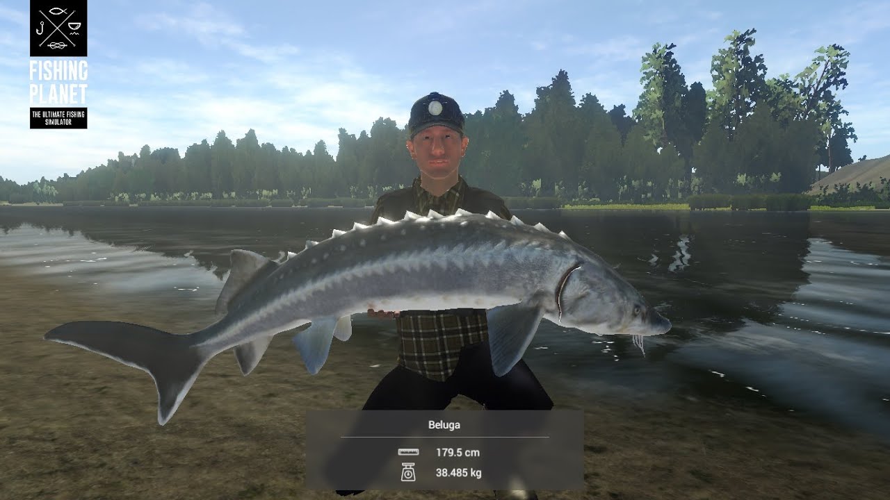 Mancing Apa Kek - Fishing Planet - YouTube