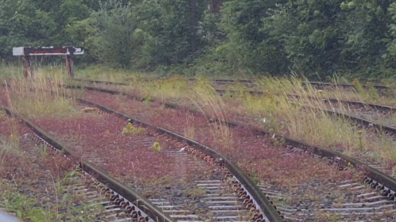 👻 Will these rusting rails ever see regular trains again? 🤔 - YouTube