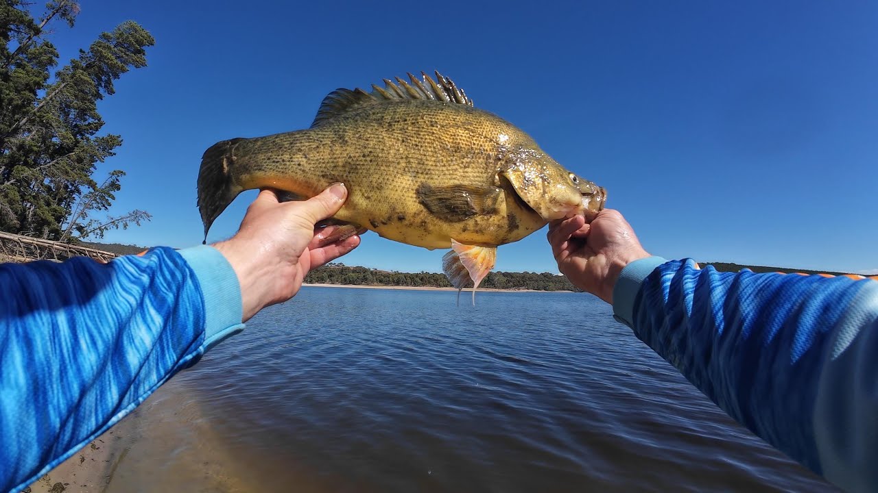 PB CALLOP on MICRO Minnow !! || THE LONGEST WALK - YouTube