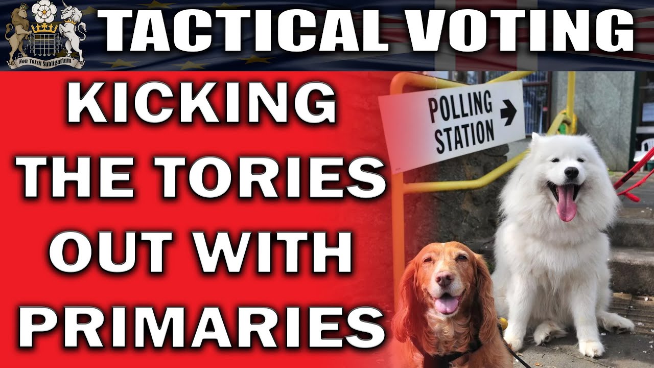Maximizing Your Vote: The South Devon Primary Strategy - YouTube