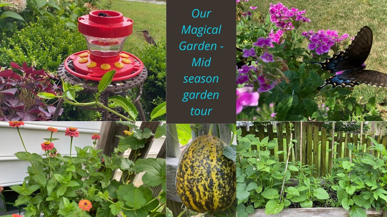 Our Magical Garden - Mid season garden tour. - YouTube