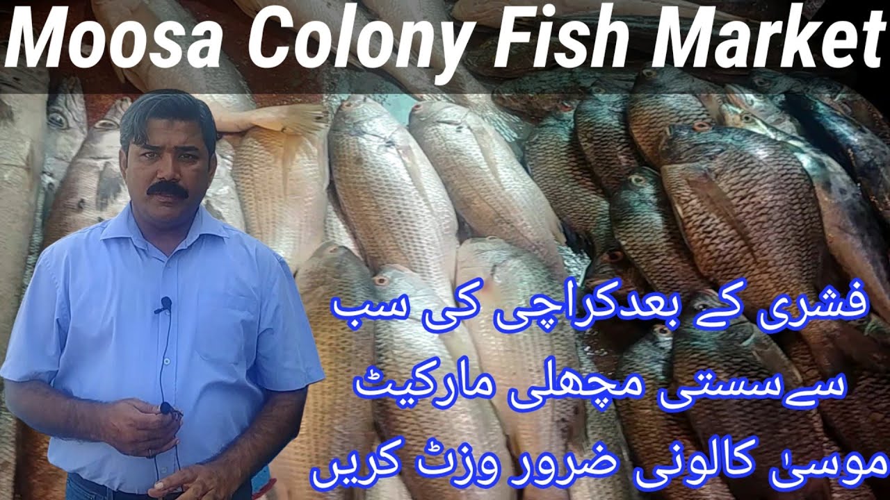 Moosa Colony Fish 🐟 Market | Cheap Prices | @travel and food - YouTube
