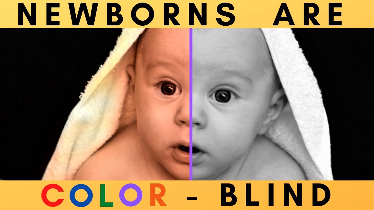 Newborns are Color-blind ll 10 More Random Facts from Shining Facts ll ...