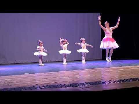A PEQUENA BAILARINA - SUZAN ELISE