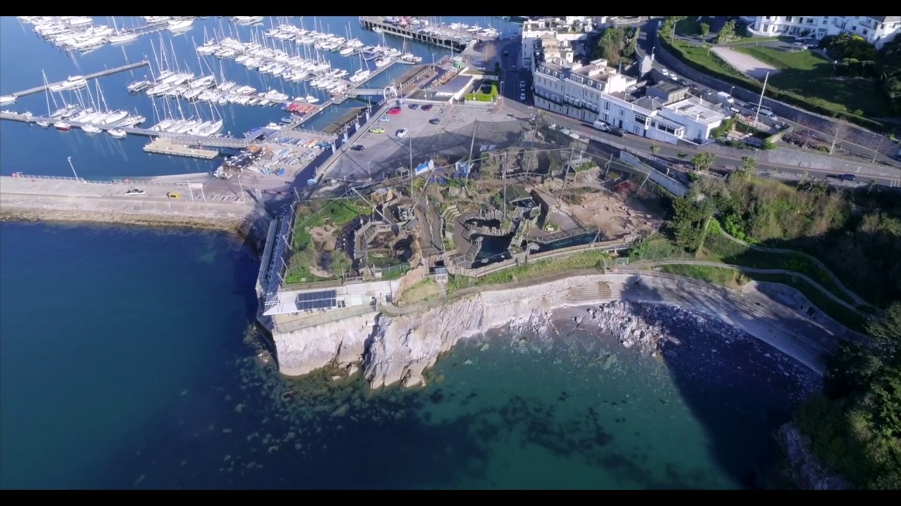 Living Coasts, Torquay - Drone Promo - YouTube