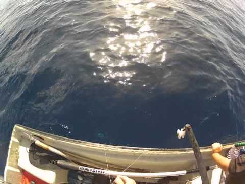 Deep Drop Fishing in Hawaii - Hawaiian Sea Bass - Hapuupuu - YouTube