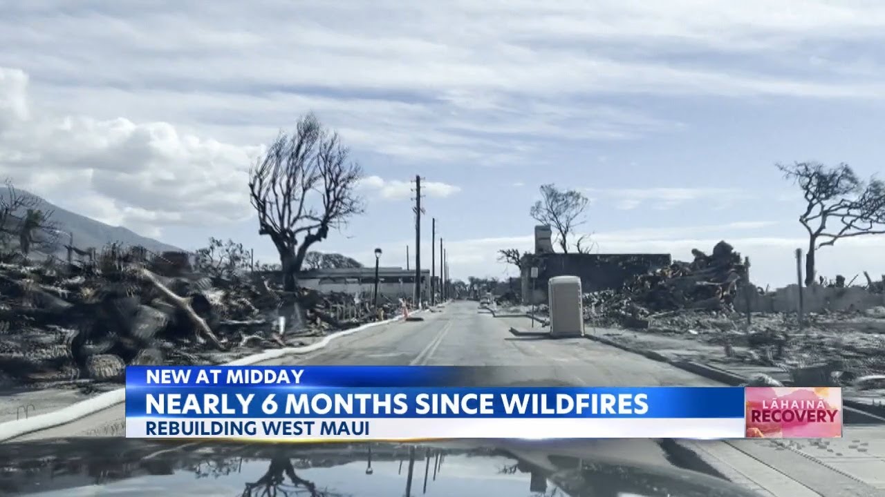 How has Maui's recovery progressed 6 months after devastating wildfires ...